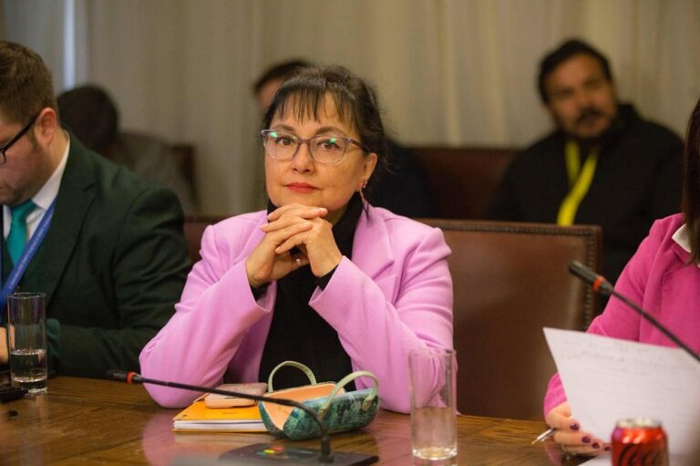 Diputada Carolina Marzan pide urgencia para “Ley Alberto”: exige test ...